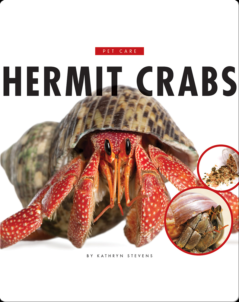 Hermit Crabs Book by Kathryn Stevens | Epic