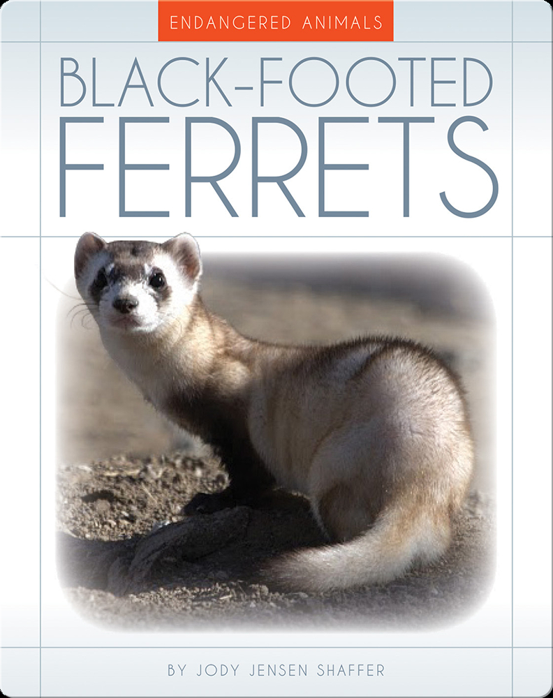 Black Footed Ferrets Book by Jody Jensen Shaffer | Epic