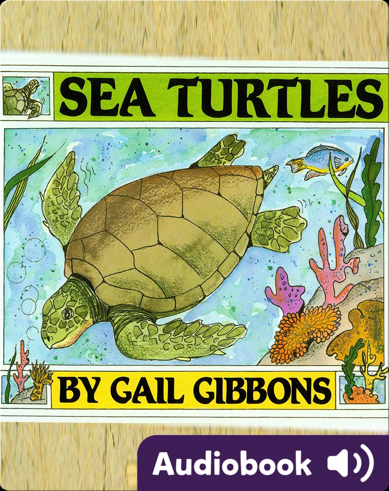 Sea Turtles Children's Audiobook by Gail Gibbons | Explore this ...
