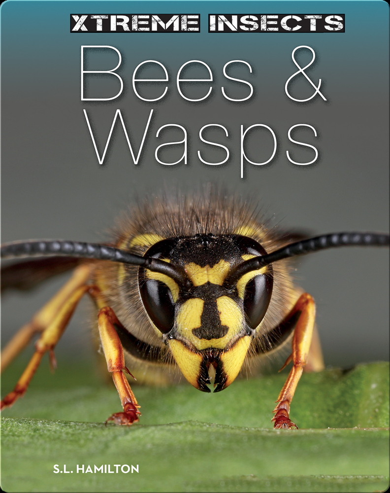 Bees & Wasps Book by S.L. Hamilton | Epic