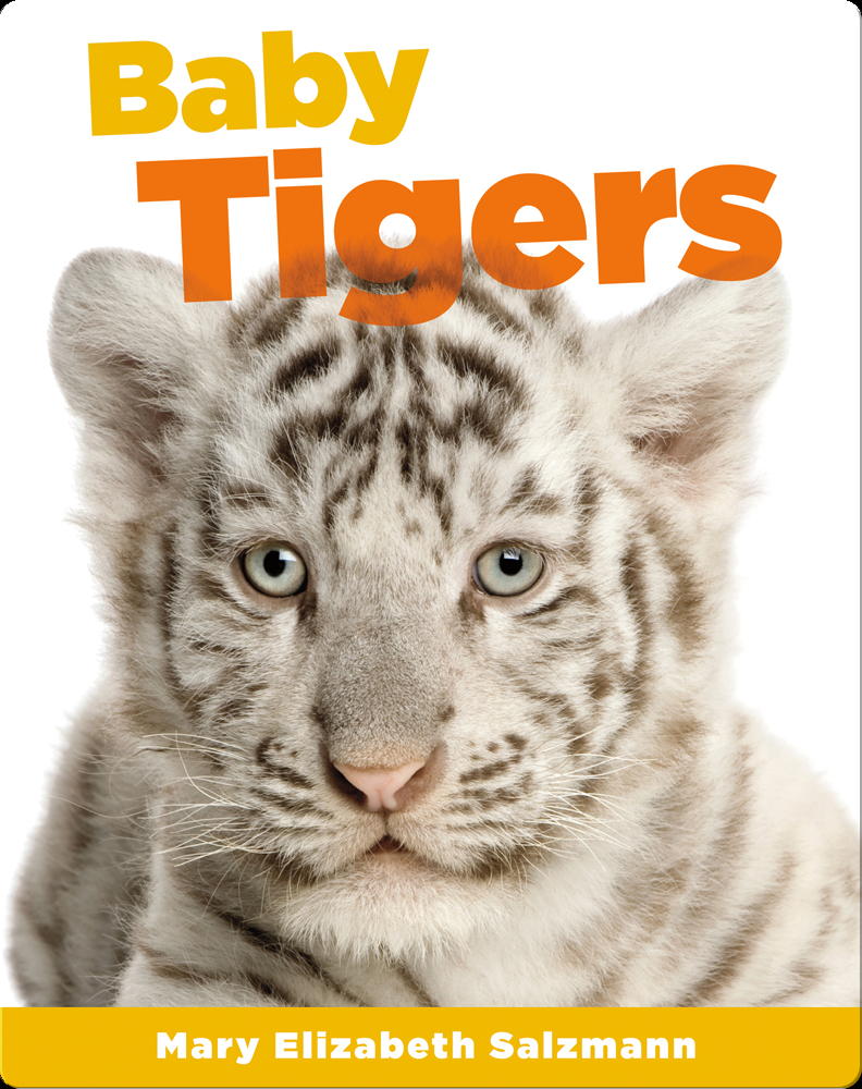 Baby Tigers Book by Mark Elizabeth Salzmann | Epic
