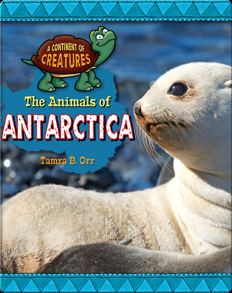 The Animals of Antarctica Book by Tamra Orr | Epic