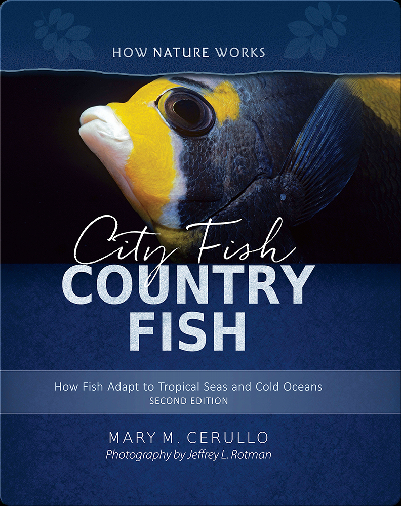 City Fish Country Fish Book by Mary M. Cerullo | Epic
