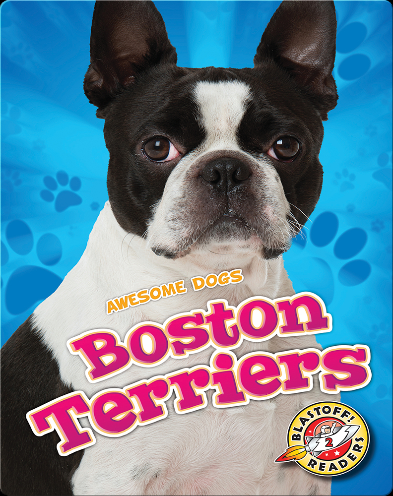 Awesome Dogs: Boston Terriers Book by Megan Borget-Spaniol | Epic