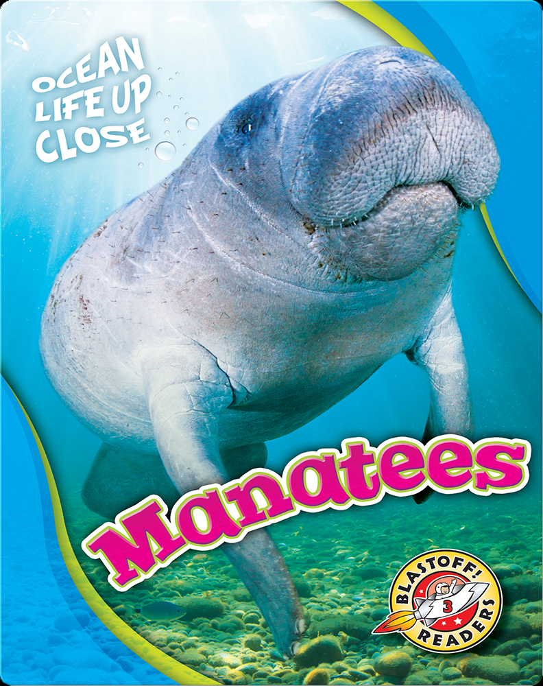 Ocean Life Up Close: Manatees Book by Rebecca Pettiford | Epic