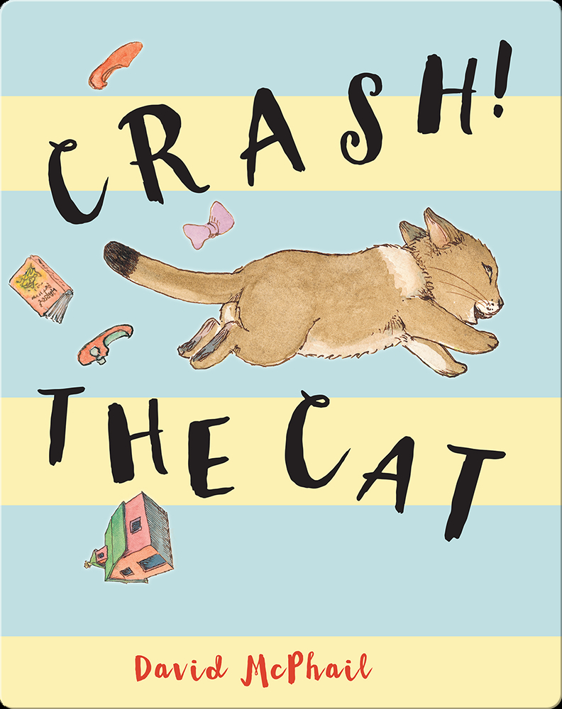 Crash! The Cat Book by David McPhail | Epic
