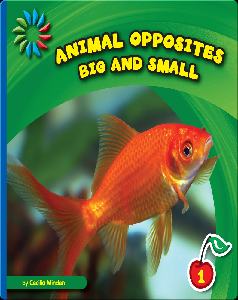 Big and Small Book by Cecilia Minden | Epic