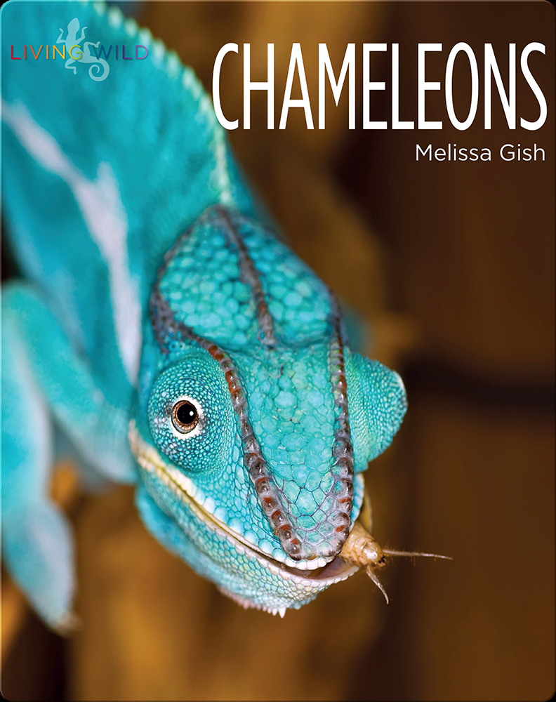 Chameleons Book by Melissa Gish | Epic