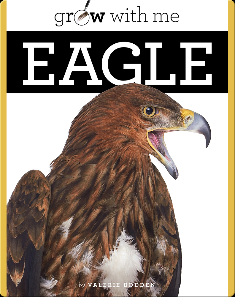Eagle Book by Valerie Bodden | Epic