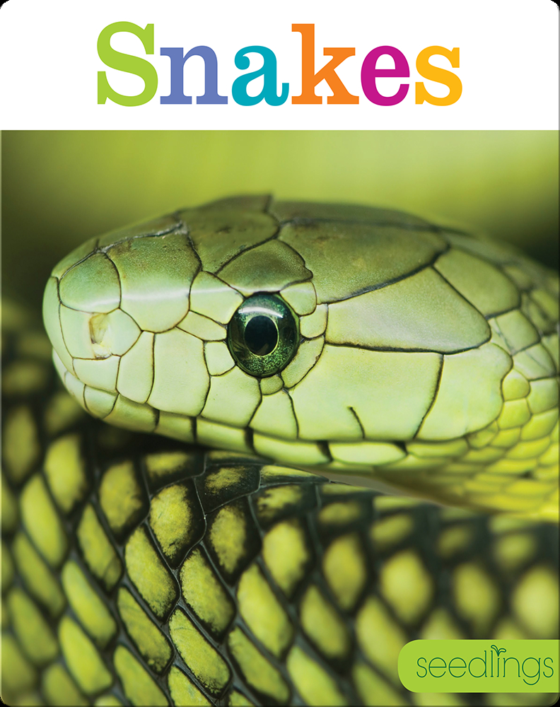 Snakes Book by Kate Riggs | Epic