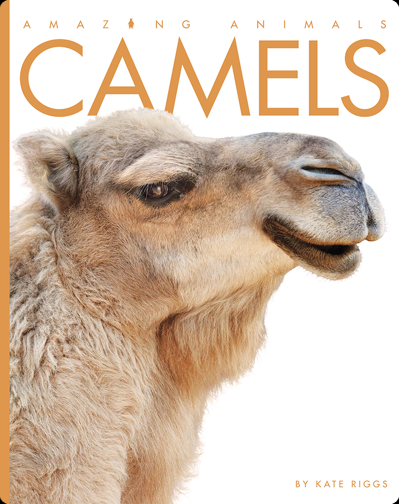 Camels Book by Kate Riggs | Epic