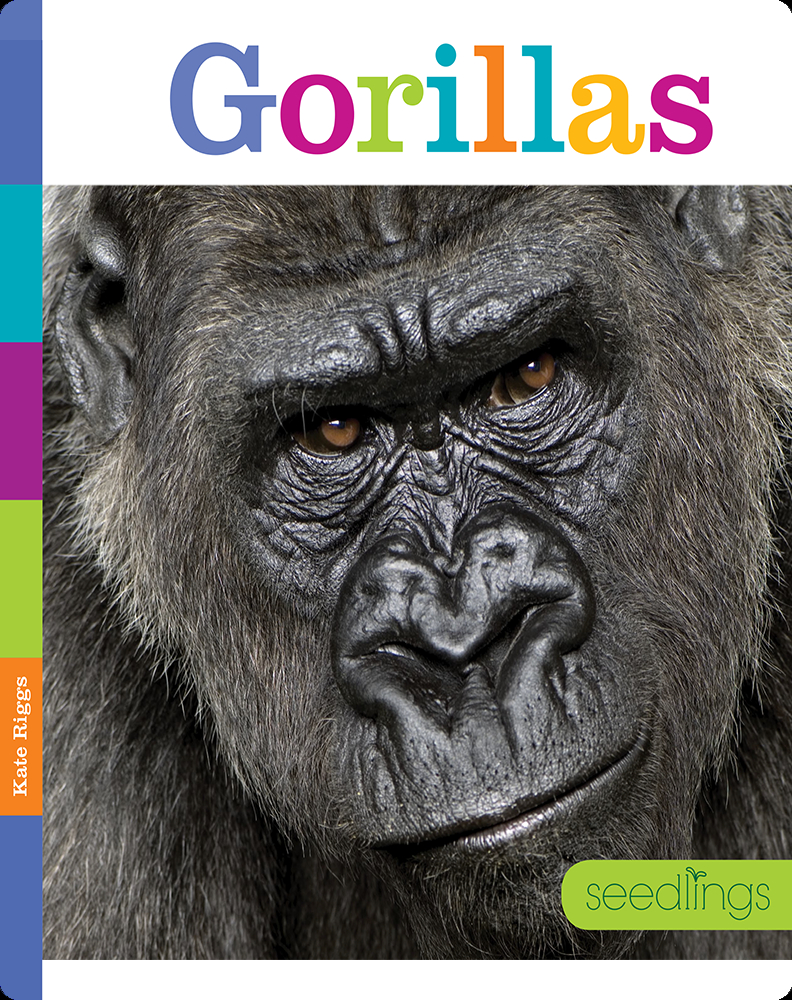 Gorillas Book by Kate Riggs | Epic