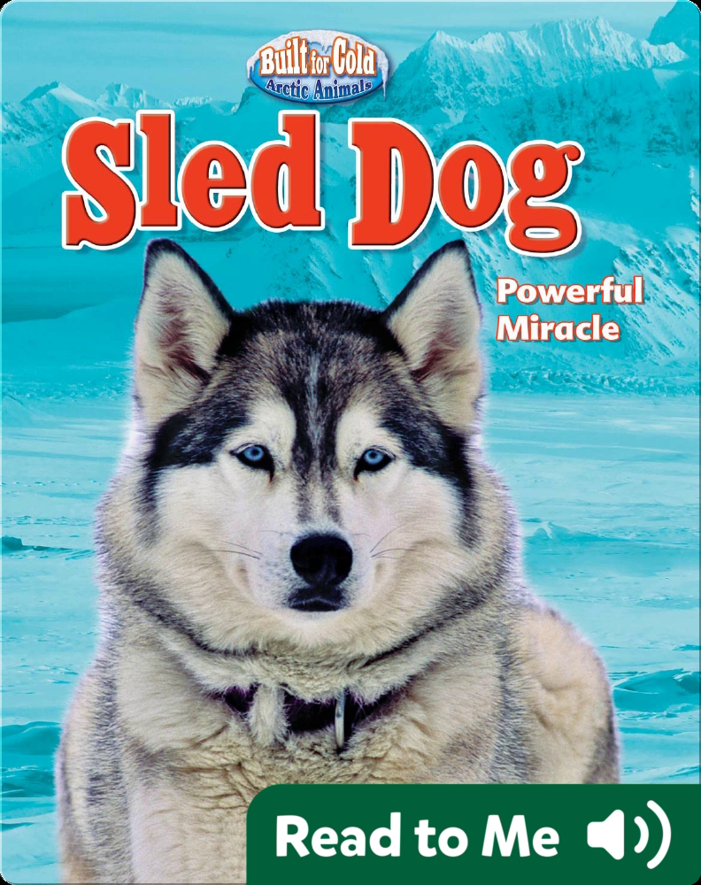 Sled Dog: Powerful Miracle Book by Stephen Person | Epic
