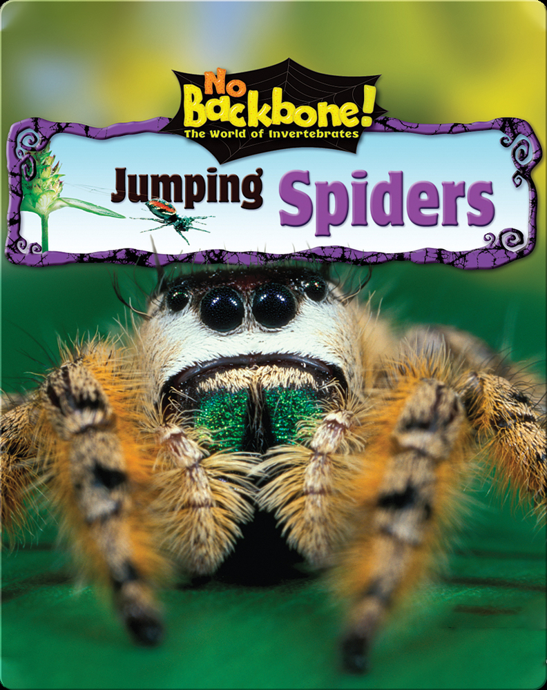 Jumping Spiders Book by Meish Goldish | Epic