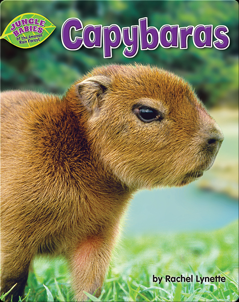 Capybaras Book by Rachel Lynette | Epic