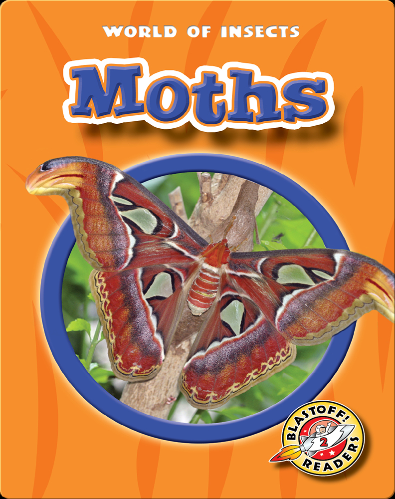 World of Insects: Moths Book by Martha E. H. Rustad | Epic