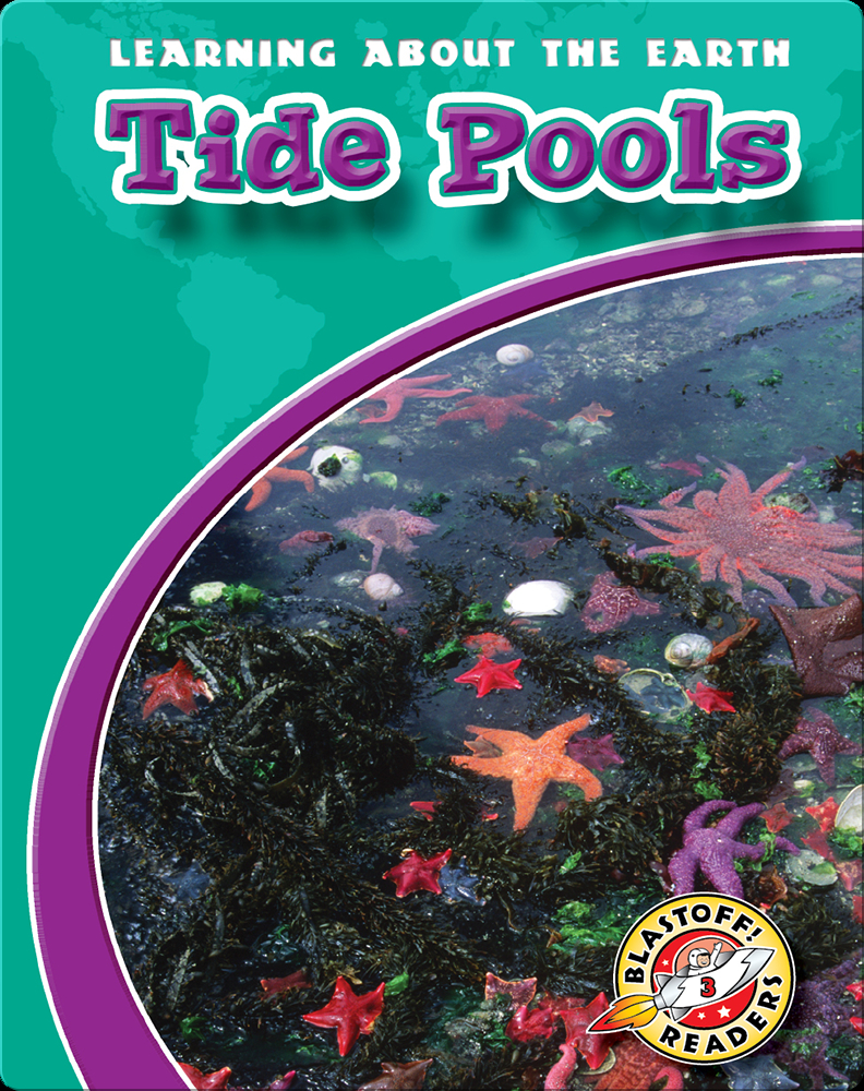Tide Pools Book by Colleen Sexton | Epic