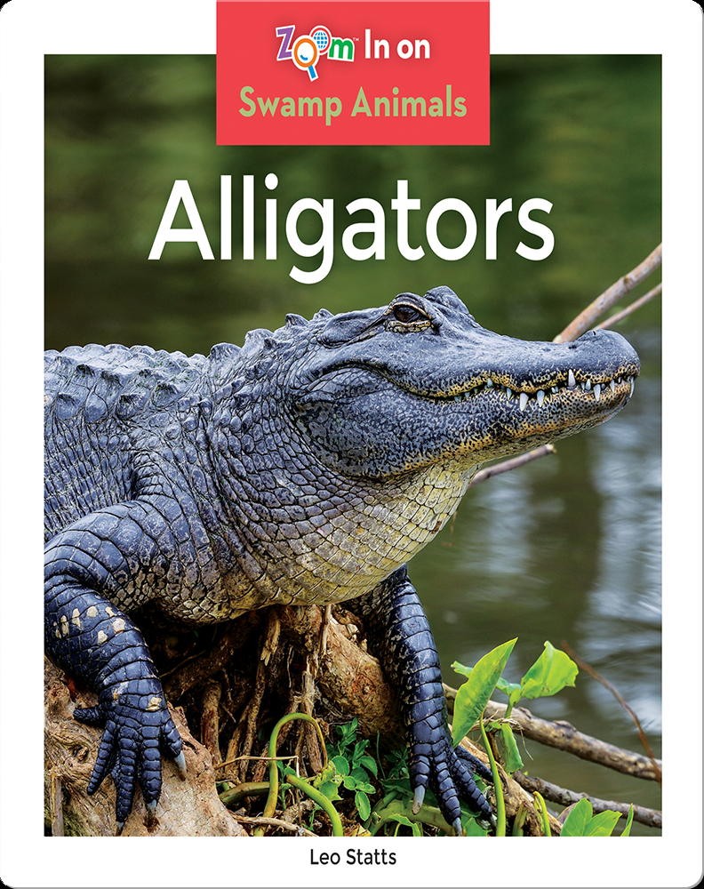 Alligators Book by Leo Statts | Epic