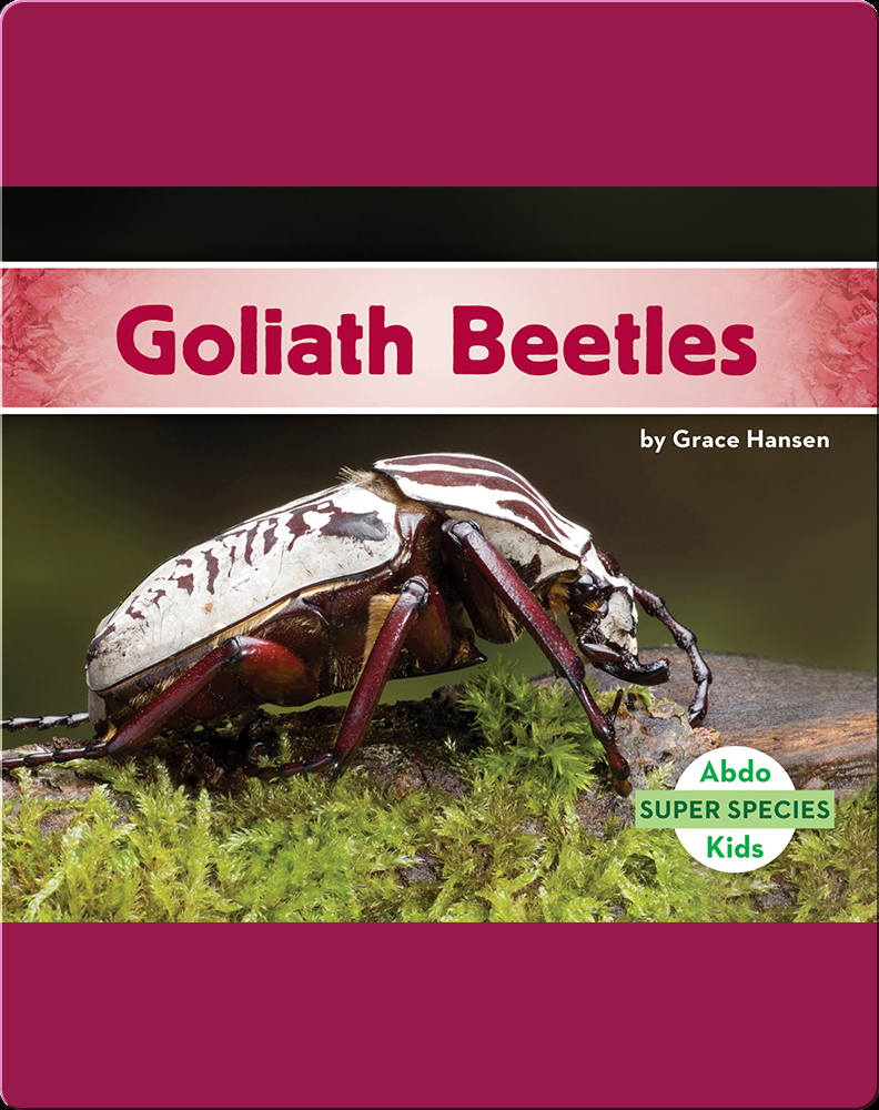 Goliath Beetles Book by Grace Hansen | Epic