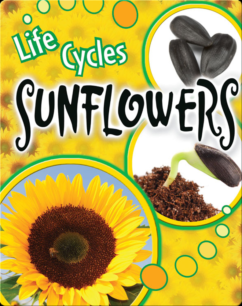 Sunflowers Book by Julie Lundgren | Epic