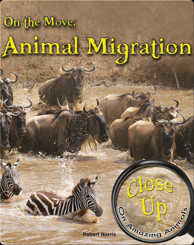 On the Move: Animal Migration Book by Robert Norris | Epic