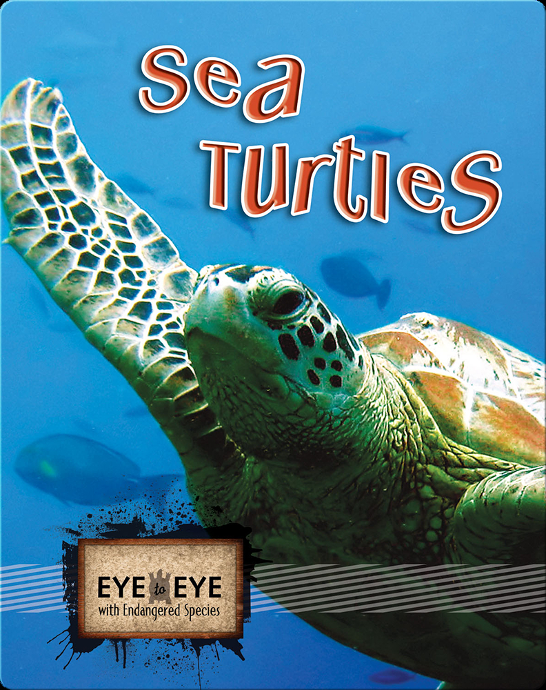 Sea Turtles Book by Cindy Rodriguez | Epic