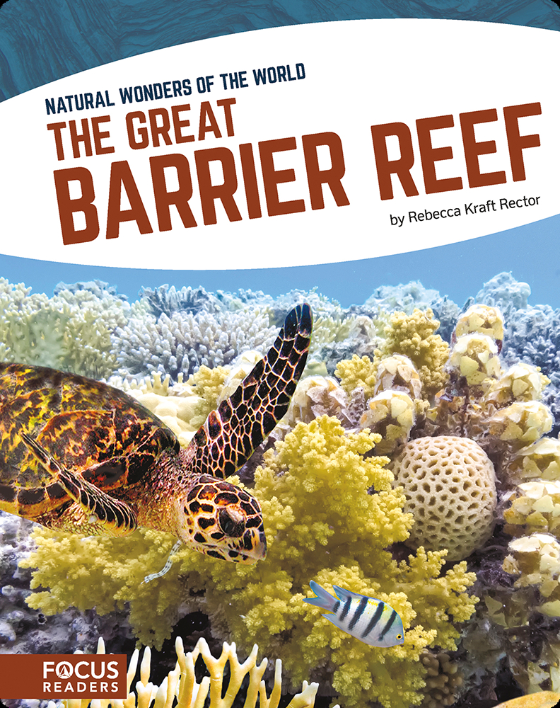 The Great Barrier Reef Book by Rebecca Kraft Rector | Epic