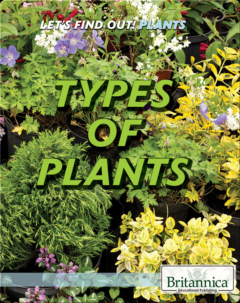 Types of Plants Book by Maddie Gibbs | Epic