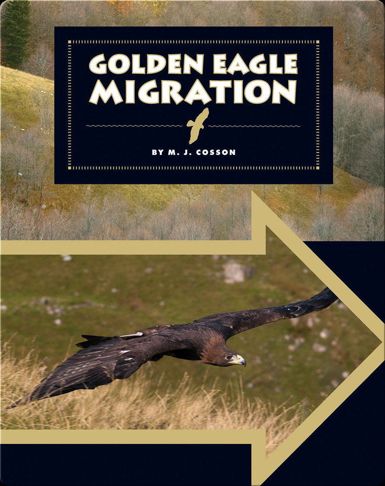 Golden Eagle Migration Book by M. J. Cosson | Epic