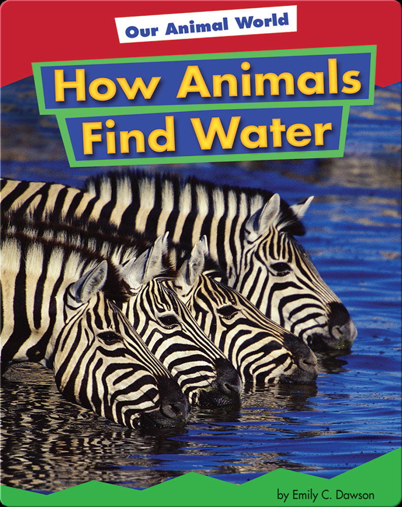 How Animals Find Water Book by Emily C. Dawson | Epic