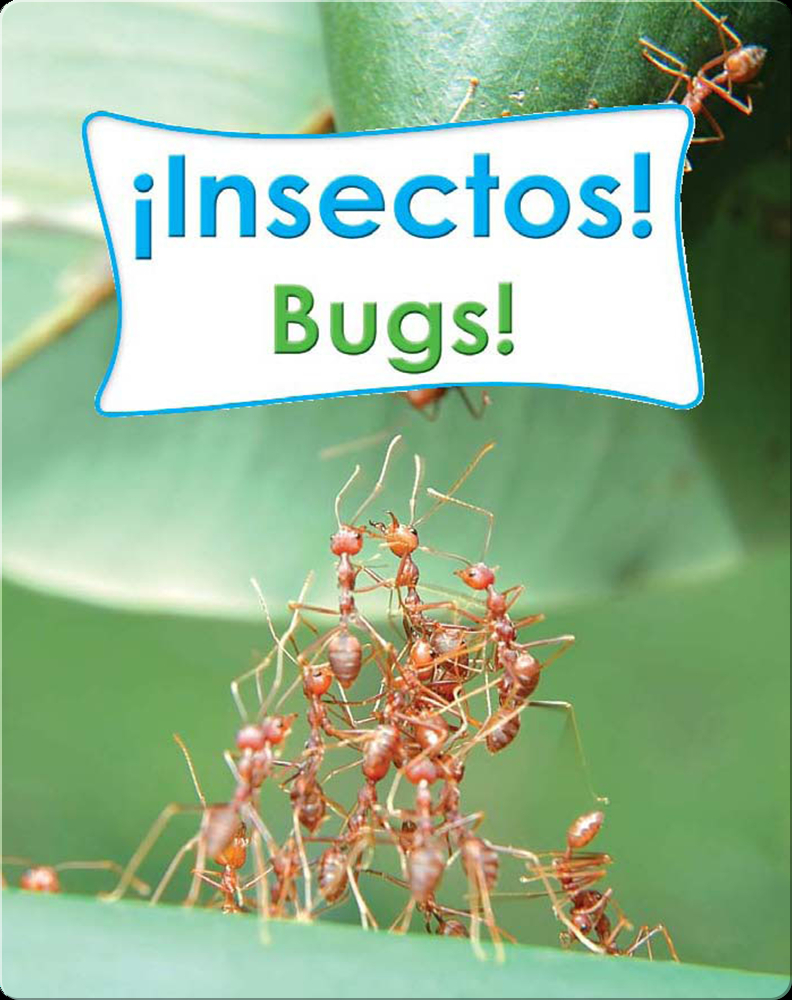 Insectos! (Bugs!) Book by Rourke Educational Media | Epic