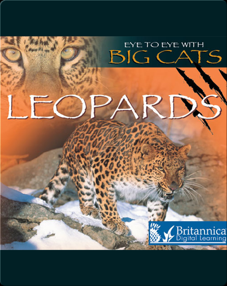Leopards Book by Jason Cooper | Epic