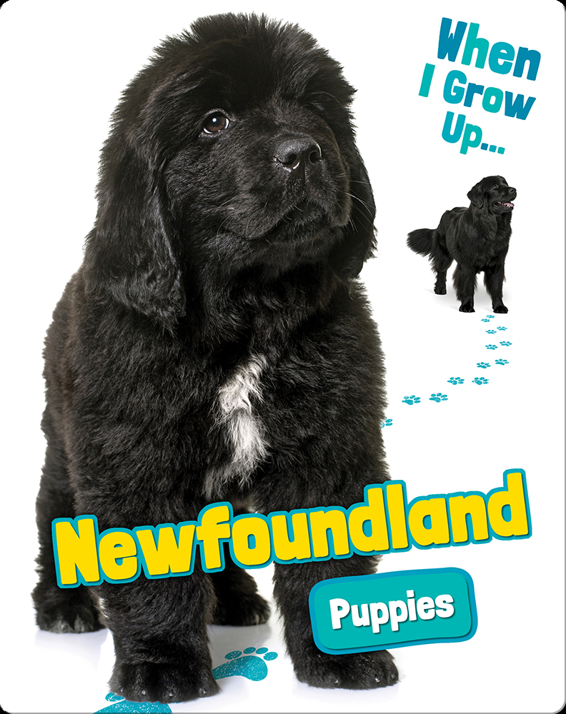 Newfoundland Puppies Book by Emmie Chang | Epic
