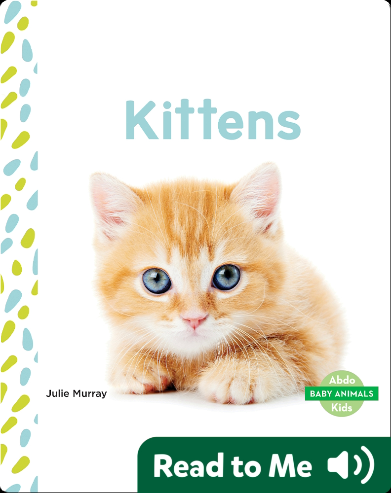 Kittens Book by Julie Murray | Epic