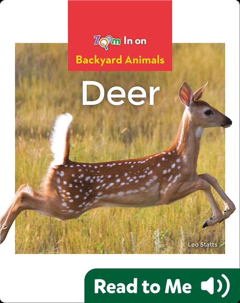Deer Book by Leo Statts | Epic