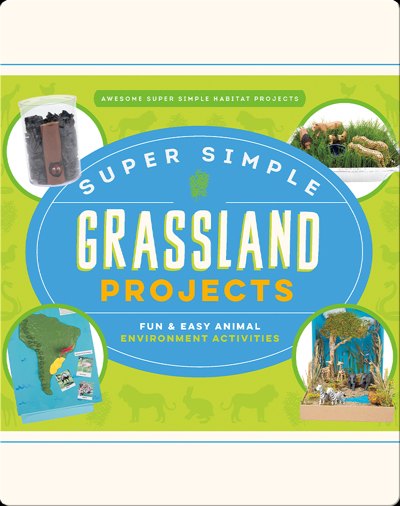 Super Simple Grassland Projects: Fun & Easy Animal Environment ...
