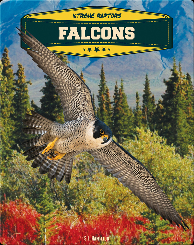 Falcons Book by S.L. Hamilton | Epic