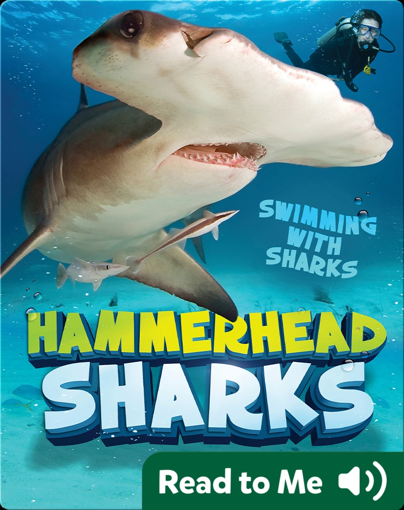 Hammerhead Sharks Book by David Dexter | Epic