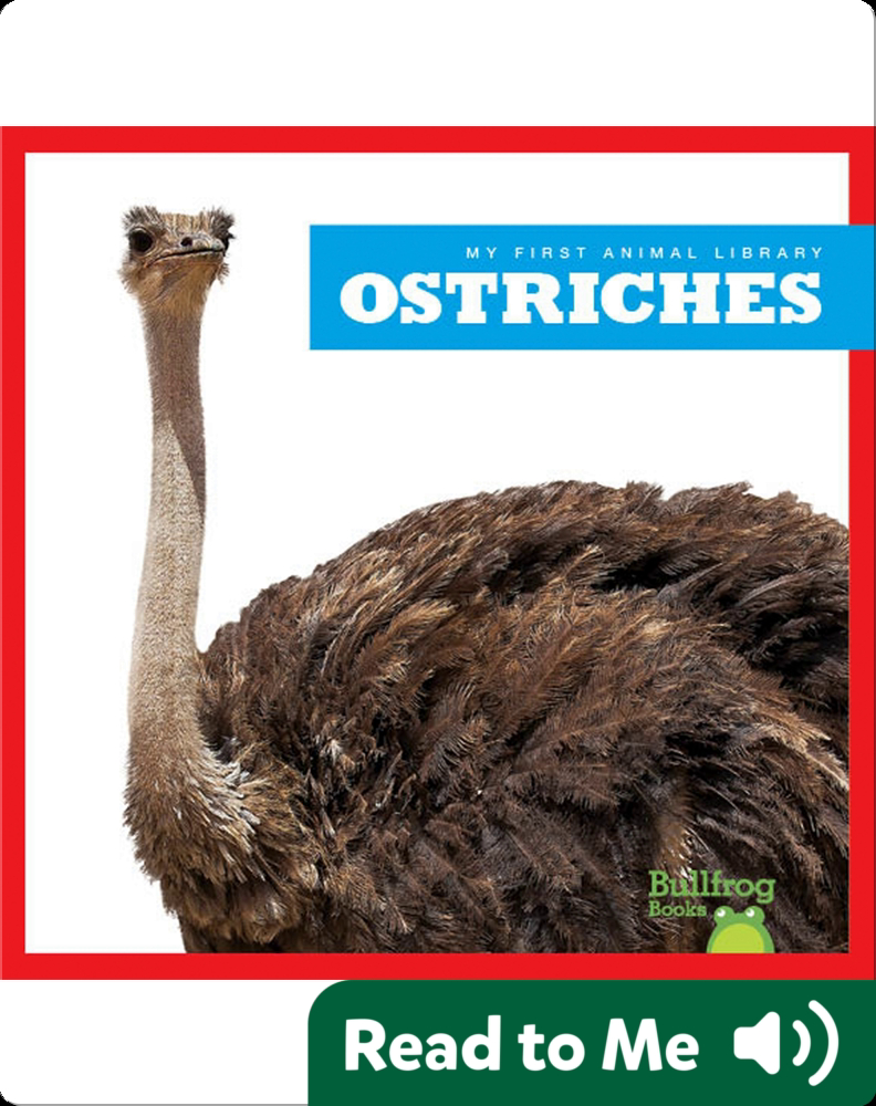 My First Animal Library: Ostriches Book by Penelope S. Nelson | Epic
