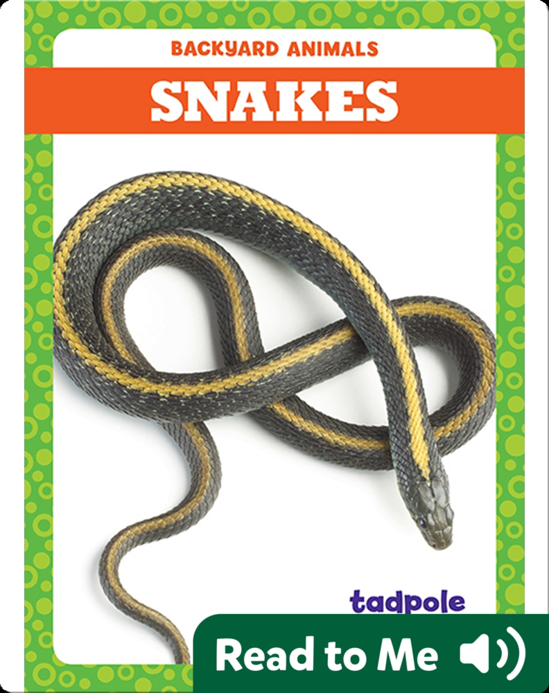 Backyard Animals: Snakes Book by Genevieve Nilsen | Epic