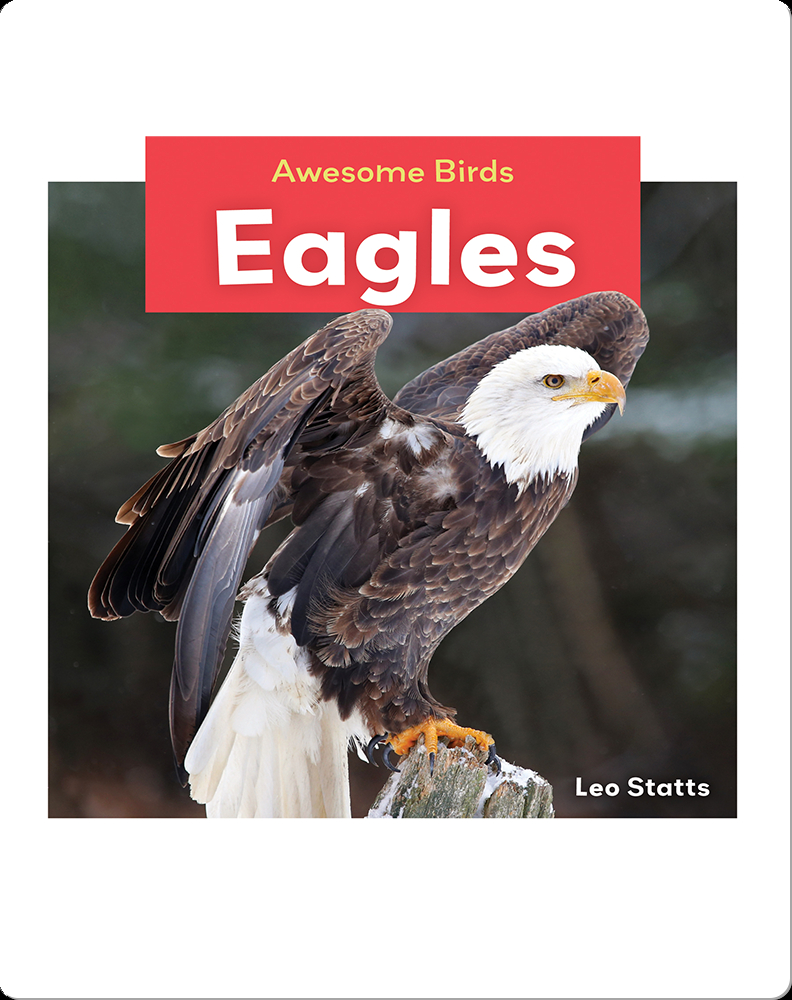 Eagles Book by Leo Statts | Epic