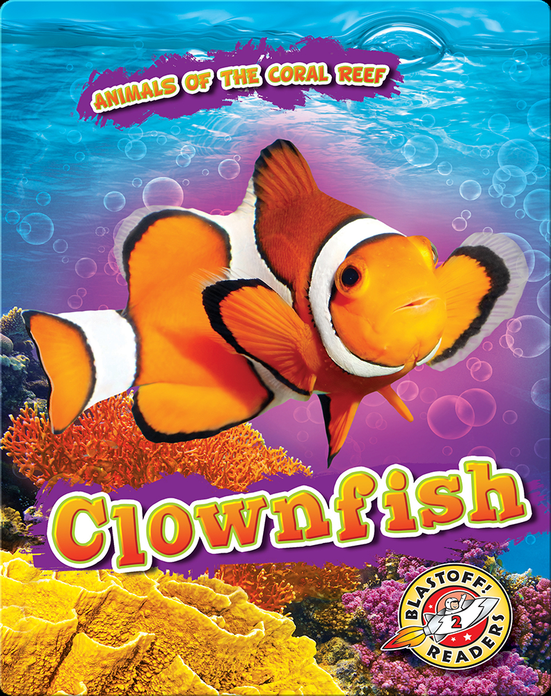 Animals of the Coral Reefs: Clownfish Book by Lindsay Shaffer | Epic