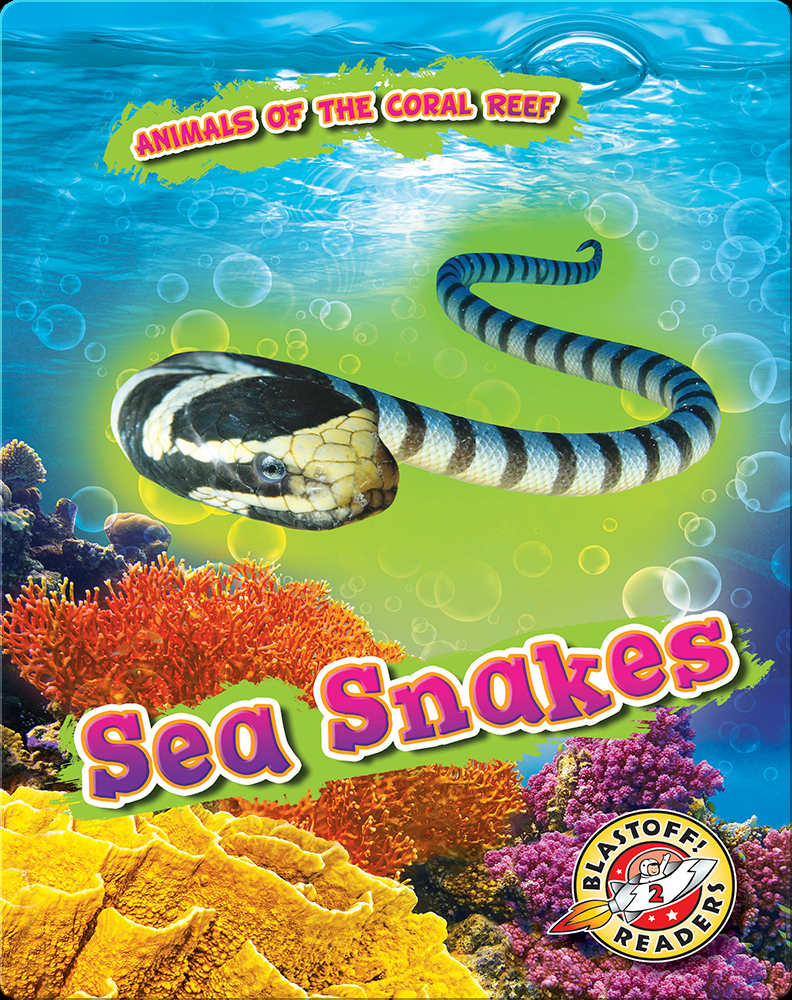Animals of the Coral Reefs: Sea Snakes Book by Lindsay Shaffer | Epic