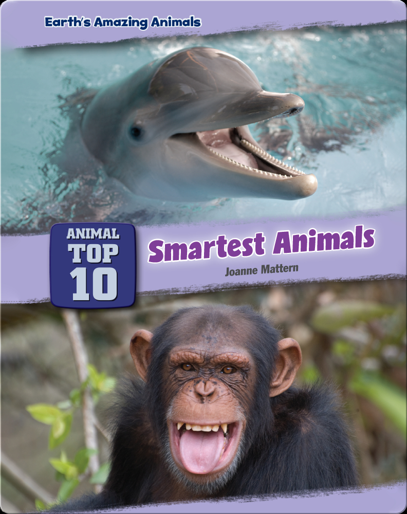 Top Ten Smartest Animals Book by Joanne Mattern | Epic