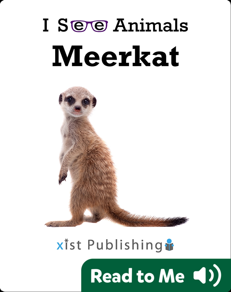 I See Animals: Meerkat Book by August Hoeft | Epic