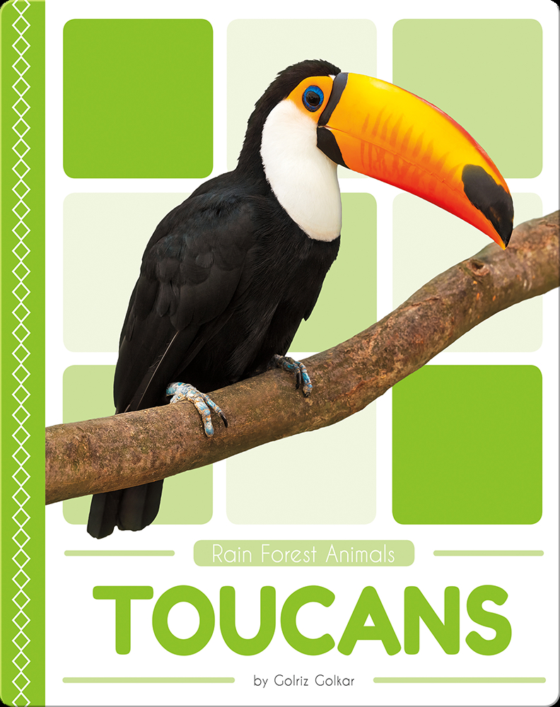 Rain Forest Animals: Toucans Book by Golriz Golkar | Epic