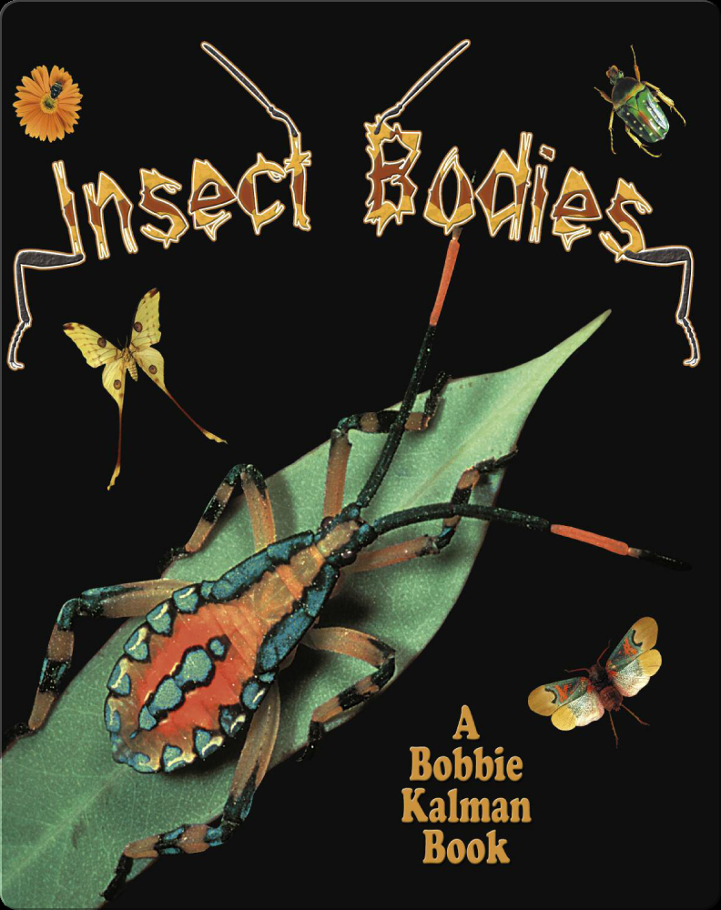 Insect Bodies Book by Bobbie Kalman, Molly Aloian | Epic