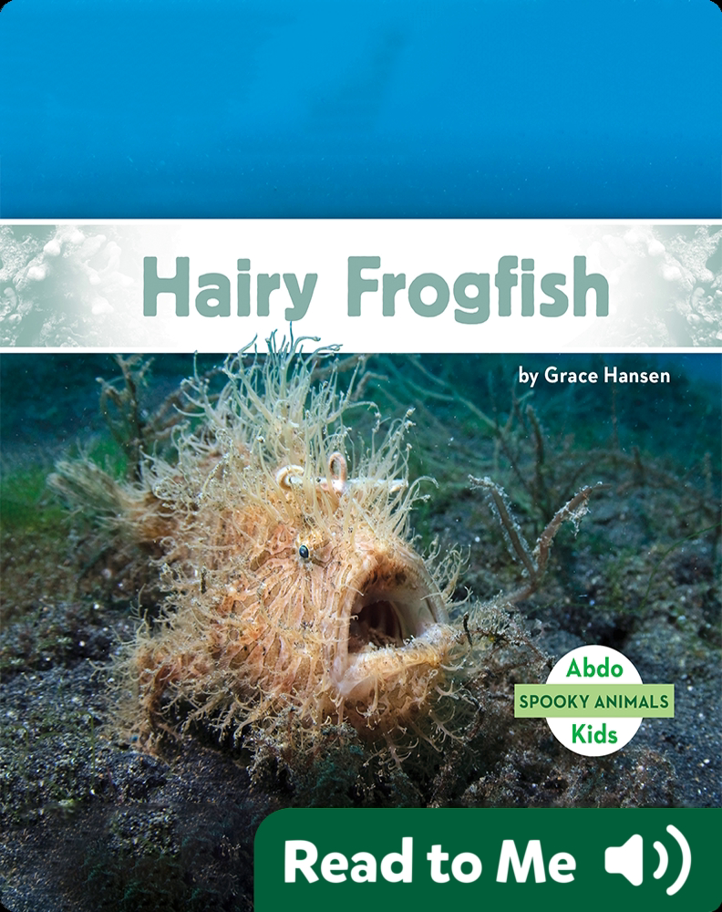 Spooky Animals: Hairy Frogfish Book by Grace Hansen | Epic