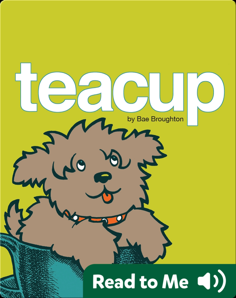 Teacup Book by Bae Broughton | Epic