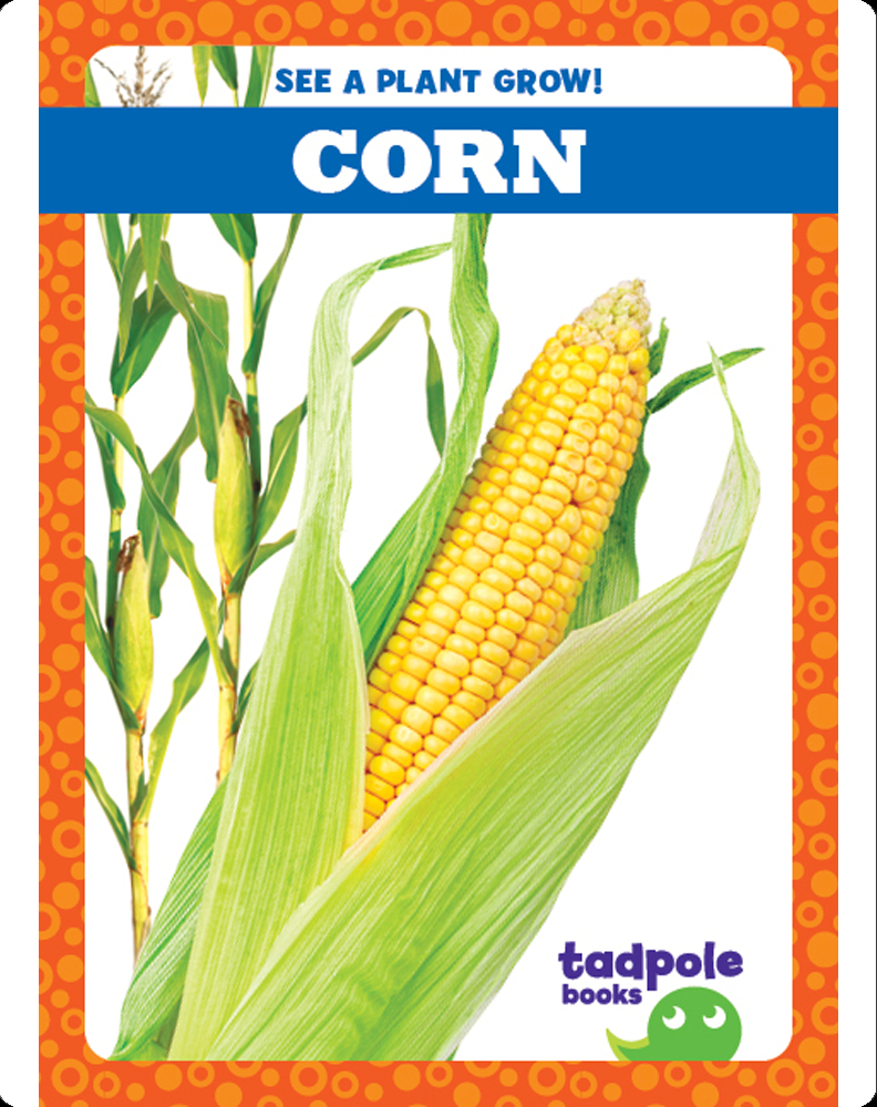 See a Plant Grow!: Corn Book by Charlie W. Sterling | Epic